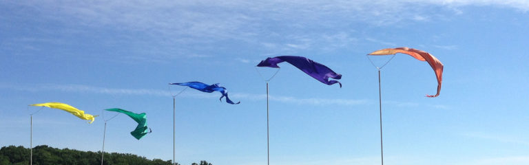 Dori Pole | Pennant Flags & Bird Deterrents